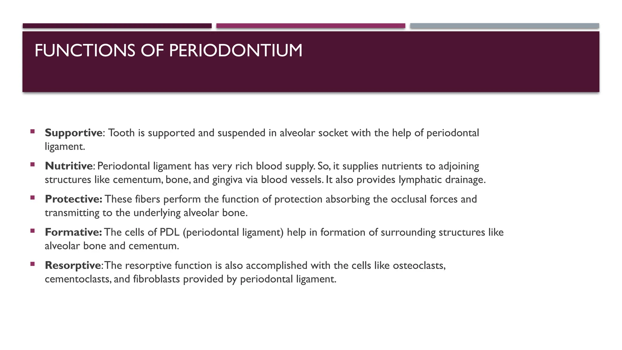 Periodontium.tooth.gingiva.hello.hiipptx | PPTX