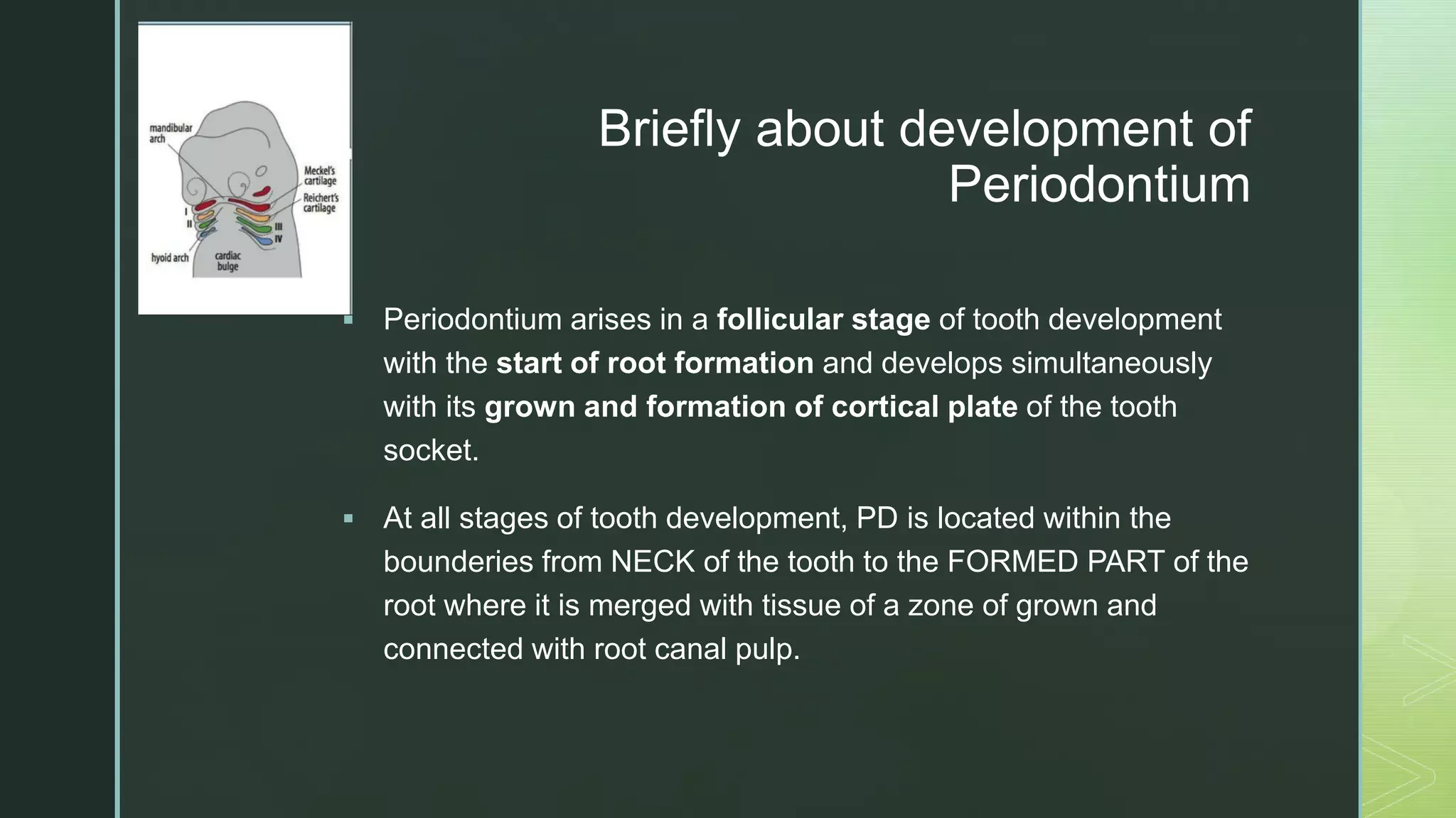 Periodontium characteristics and parts | PDF