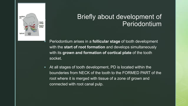 Periodontium characteristics and parts | PDF | Dental Health | Diseases ...