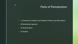Periodontium characteristics and parts | PDF