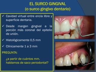 Periodontología resumen | PPT