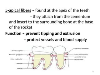 periodontology and its diseases..pptx... | PPTX