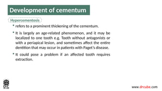 periodontology - Lec.3 Cementum.pptxppdental | PPTX