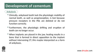 periodontology - Lec.3 Cementum.pptxppdental | PPT