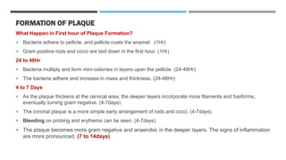 Plaque and Calculus | PDF | Oral care | Personal Care