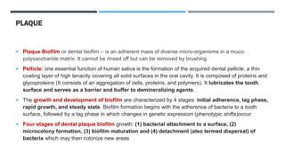 Plaque and Calculus | PDF | Oral care | Personal Care