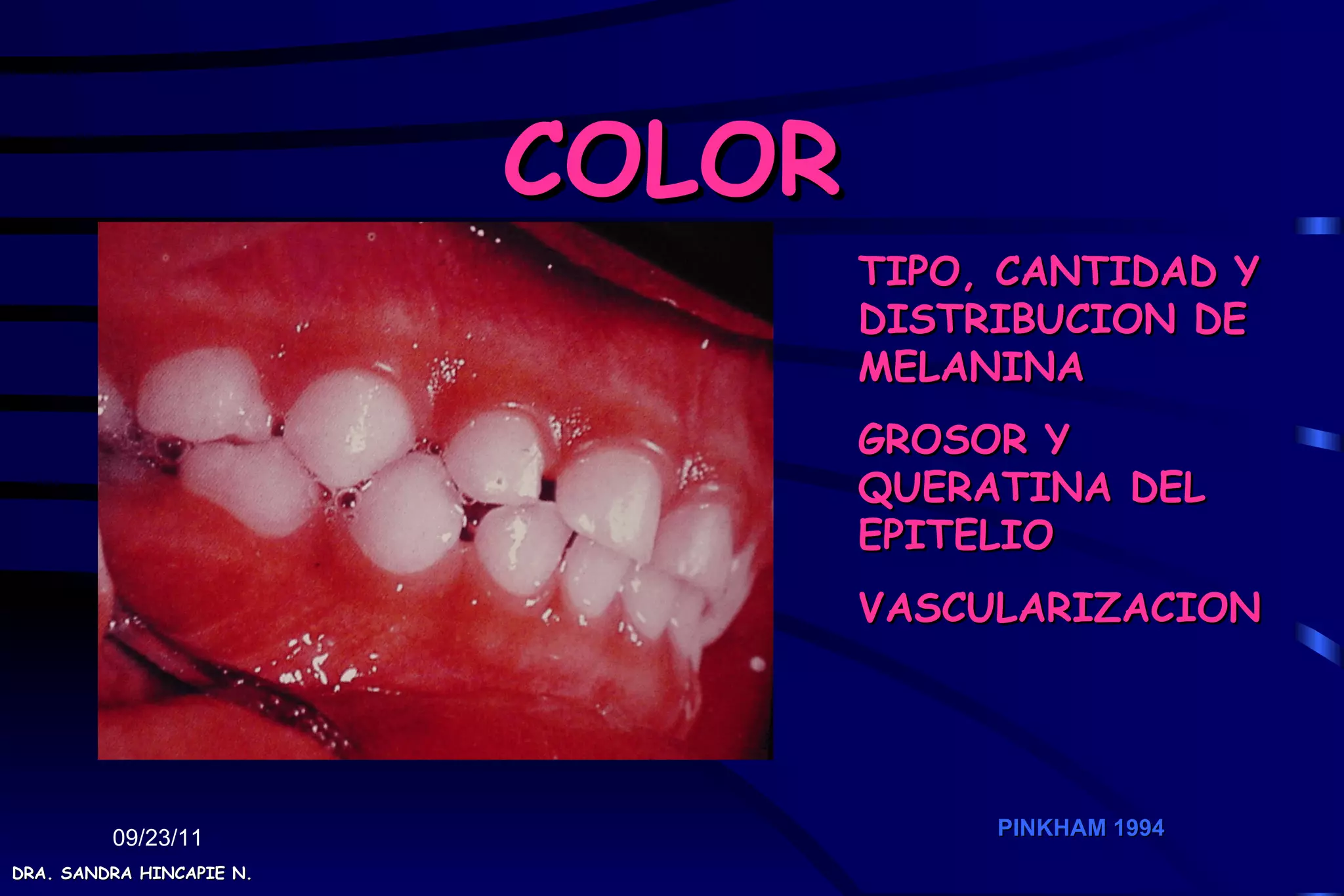 Periodonto normal en niños | PPT