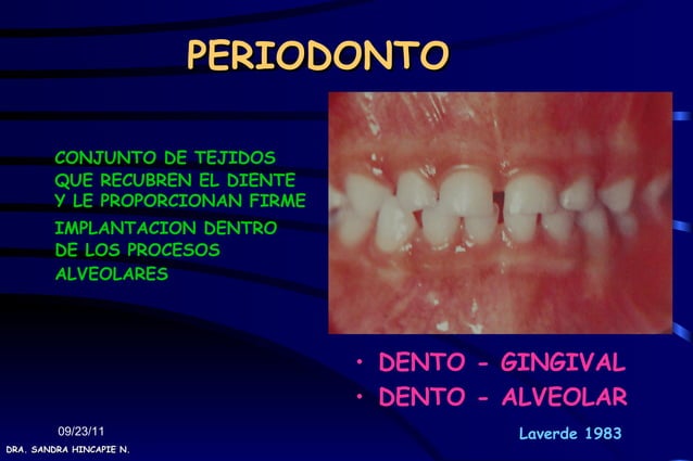 Periodonto normal en niños | PPT