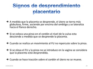 Periodos de trabajo de parto | PPTX
