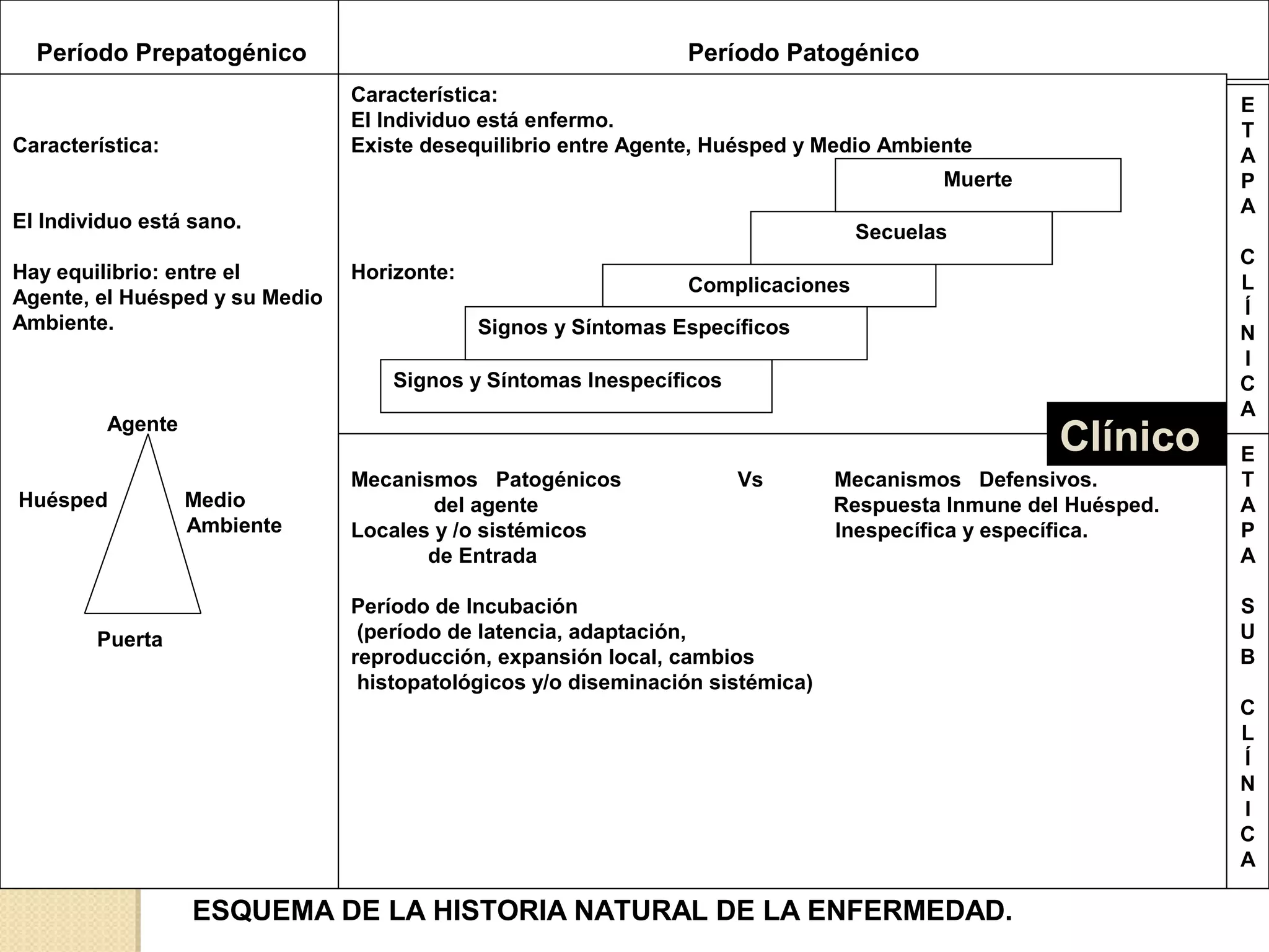 Periodos patogenicos niveles de prevencion 2 | PPT | Diseases and ...