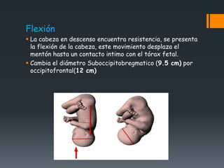 Periodo trabajo de parto(1) | PPTX