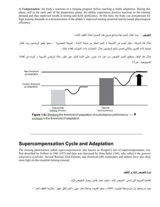 Periodzation theory and methodology of training.pdf