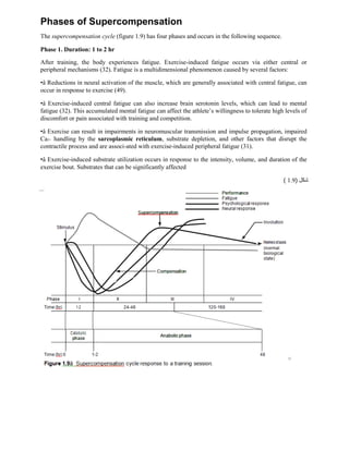 Periodzation theory and methodology of training.pdf