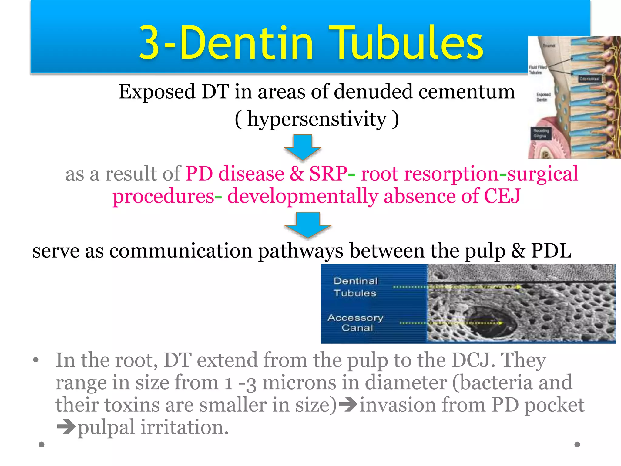 Periodontal endodontic lesions | PPTX