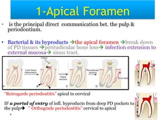 Periodontal endodontic lesions | PPTX