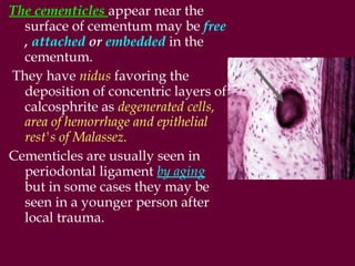 Perioontal ligament | PPT