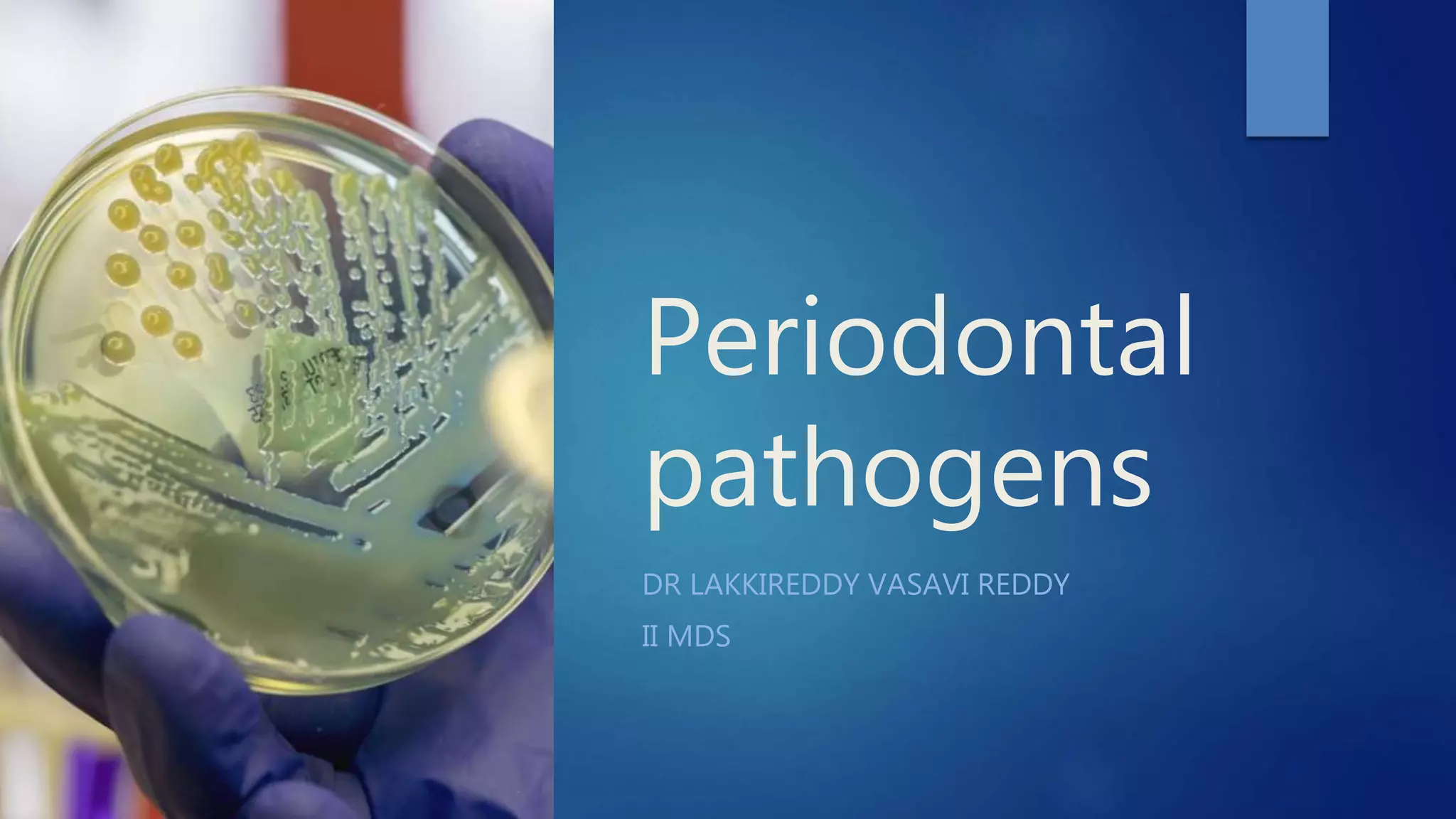 Periodontal pathogens | PPTX