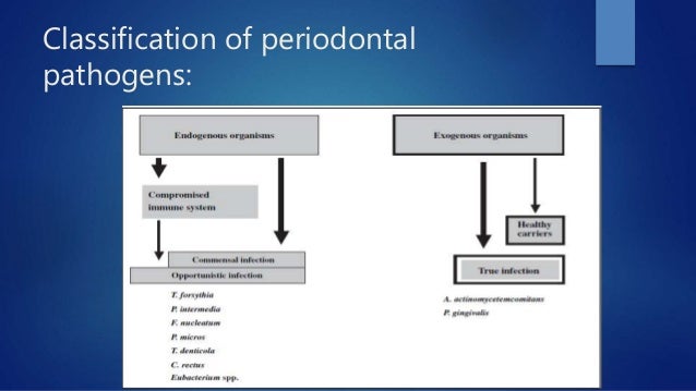 Periodontal pathogens