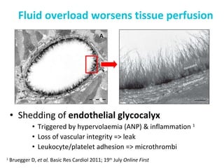 Perioperative acute kidney injury | PPT