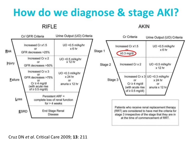 Perioperative acute kidney injury