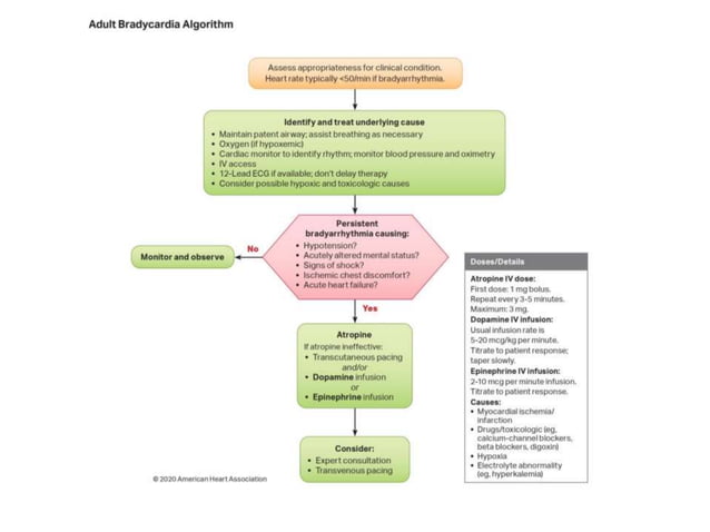 Perioperative arrhythmias and acls gudelines | PPT