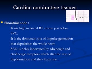 PERIOPERATIVE CARDIAC DYSRYTHMIA.ppt 222t | PPT