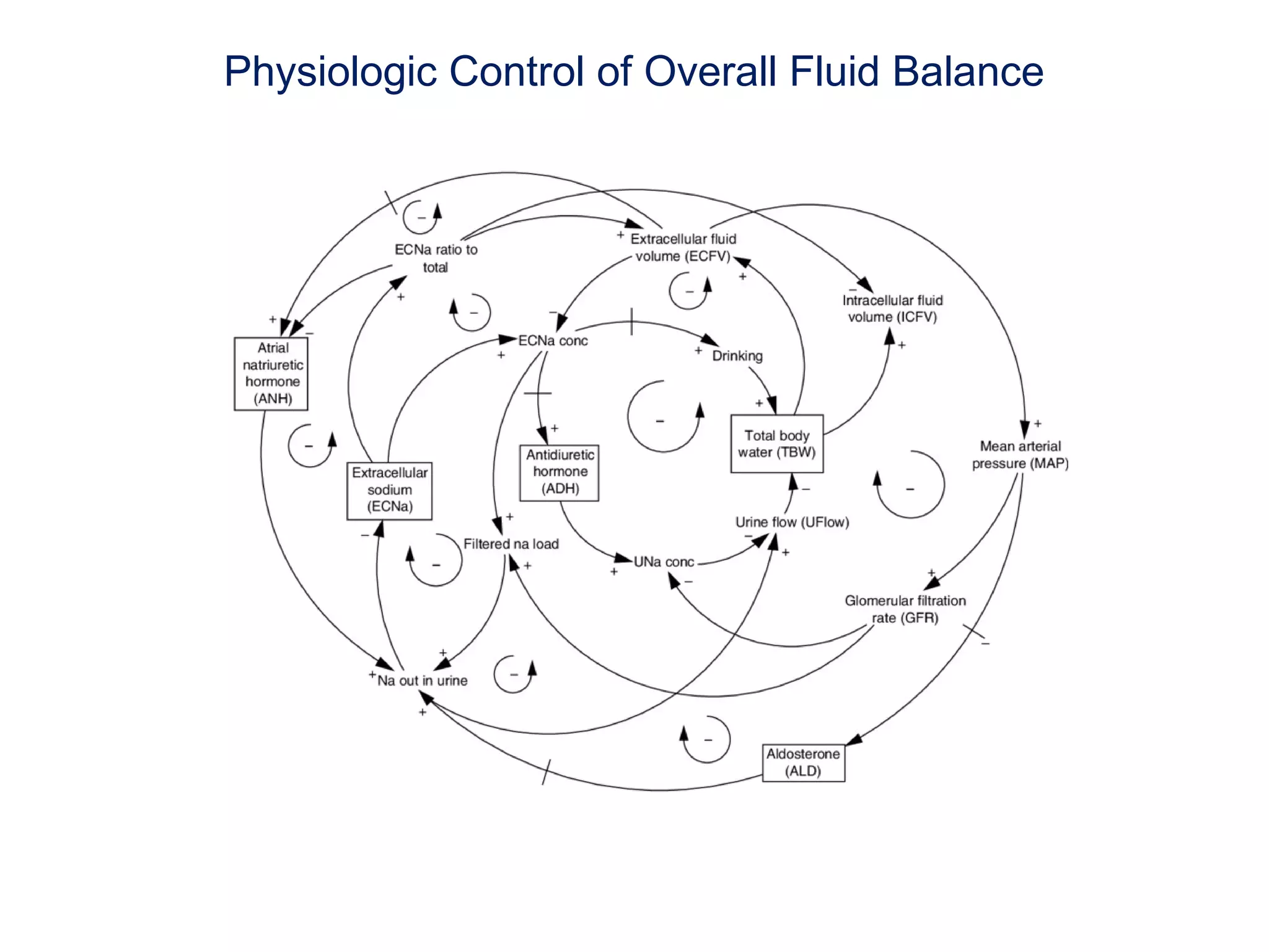 Perioperative fluid and electrolytes - part 1 | PPT