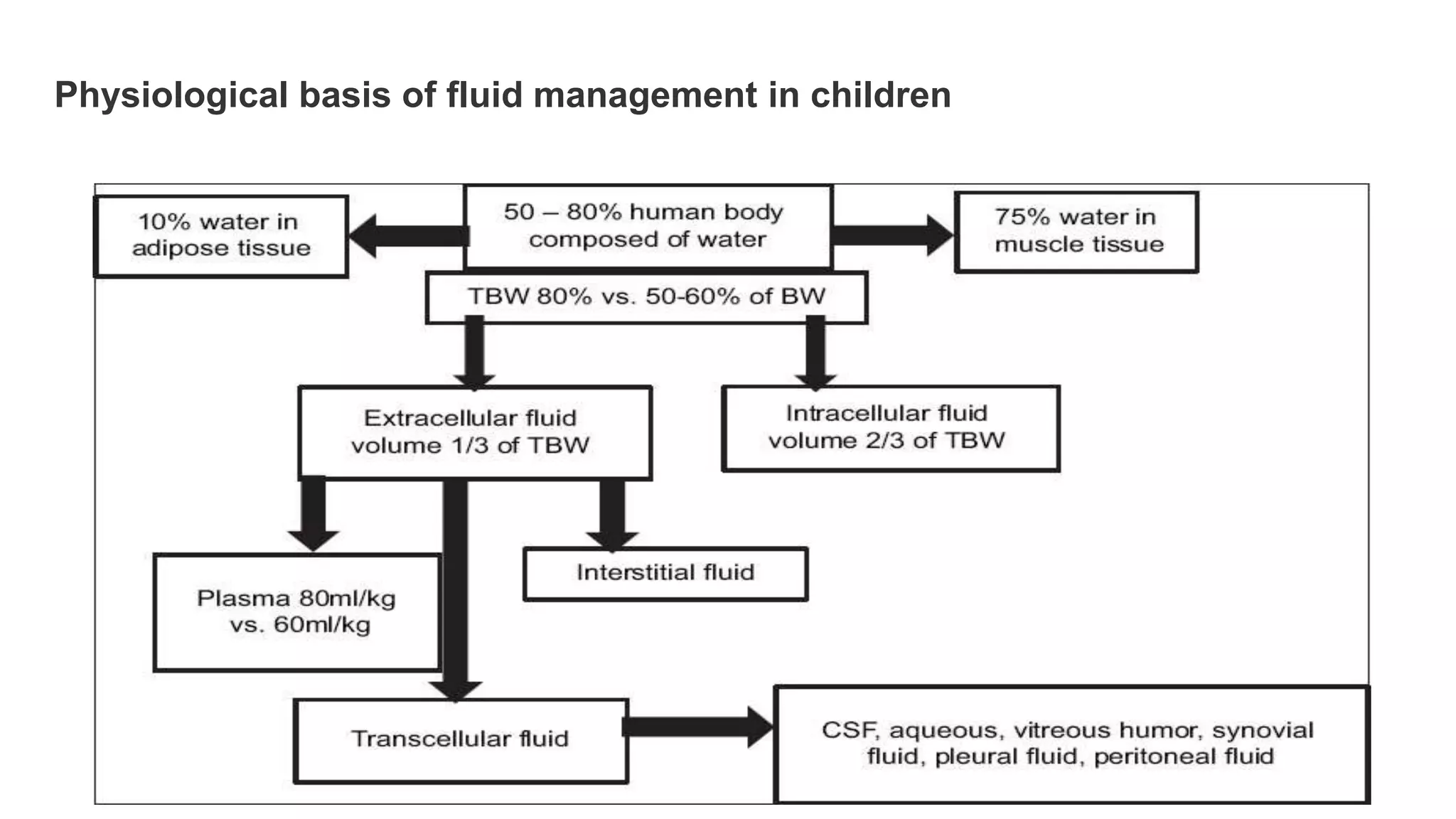 Perioperative fluid therapy and intraoperative blood loss in children.pptx