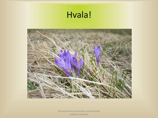 Perioperative ischemia–reperfusion injury of the heart | PPT