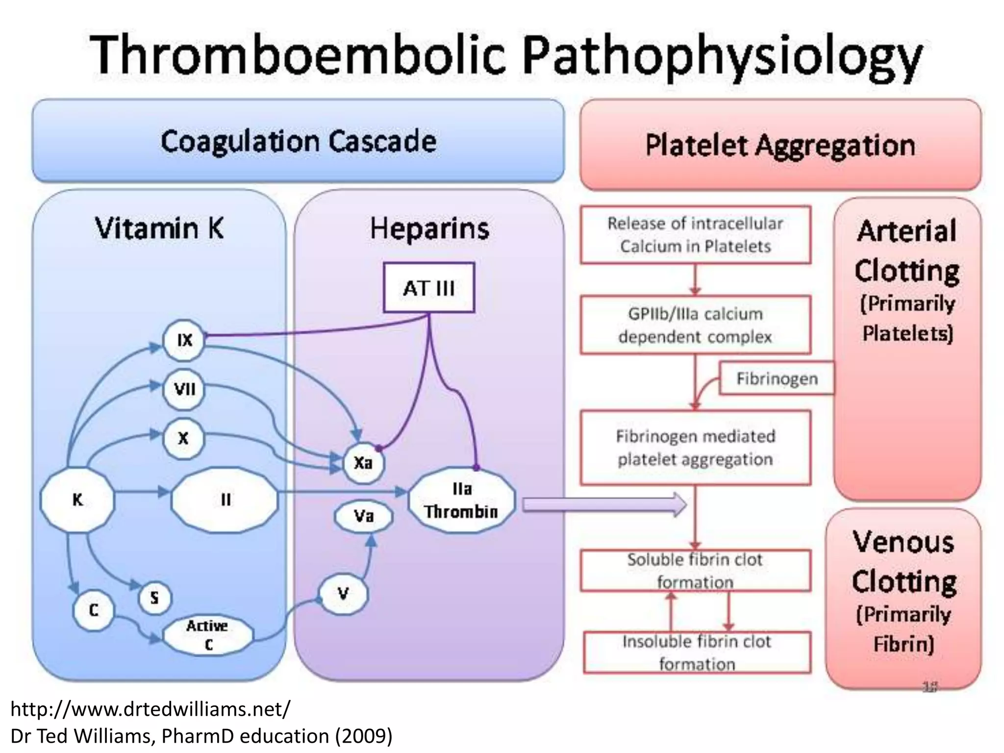 Perioperative management of antithrombotic therapy | PPTX