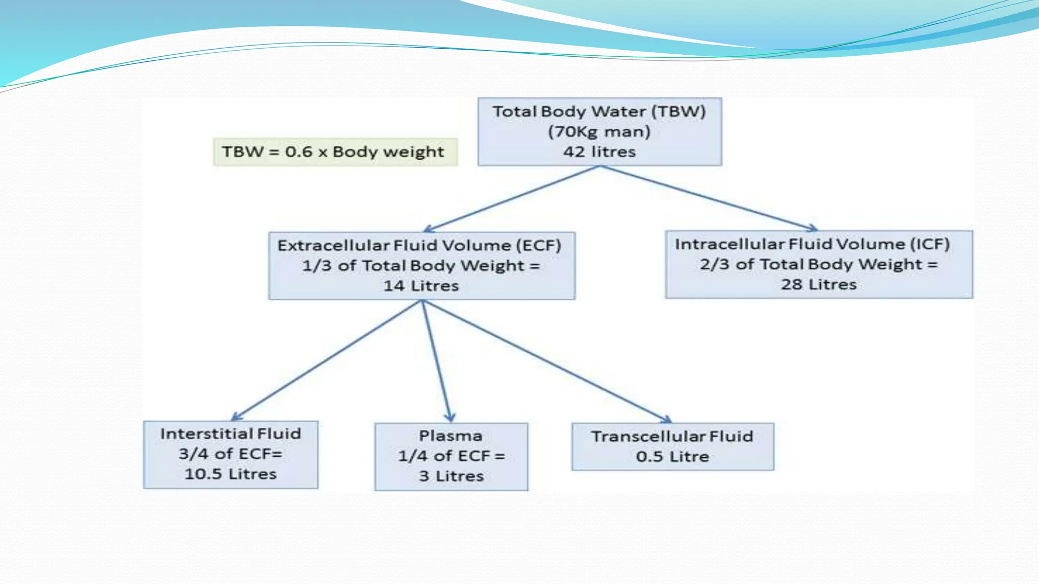 PERI OPERATIVE FLUID THERAPY IN PATIENT | PPTX | Blood Disorders ...