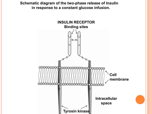 Periop management of diabetes | PPTX