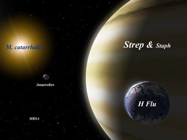 periorbital cellulitis or erythema and swelling of the eyelids.ppt ...