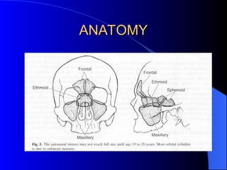 periorbital cellulitis or erythema and swelling of the eyelids.ppt