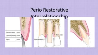 Perio restorative inter relationship lecture.pdf