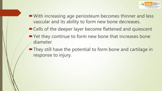Periosteum | PPTX