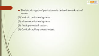 Periosteum | PPTX