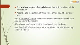 Periosteum | PPTX