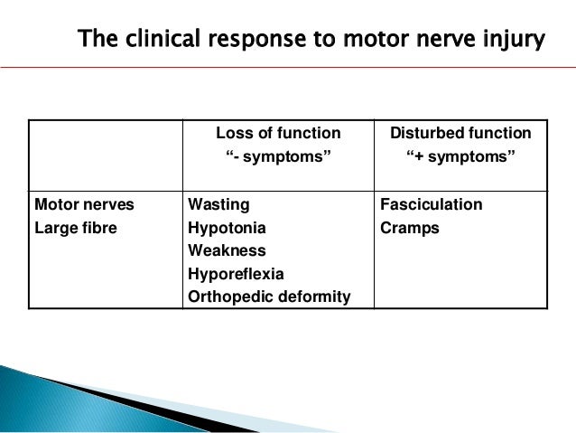 Icd 10 Gabungan Epilepsy Peripheral Neuropathy