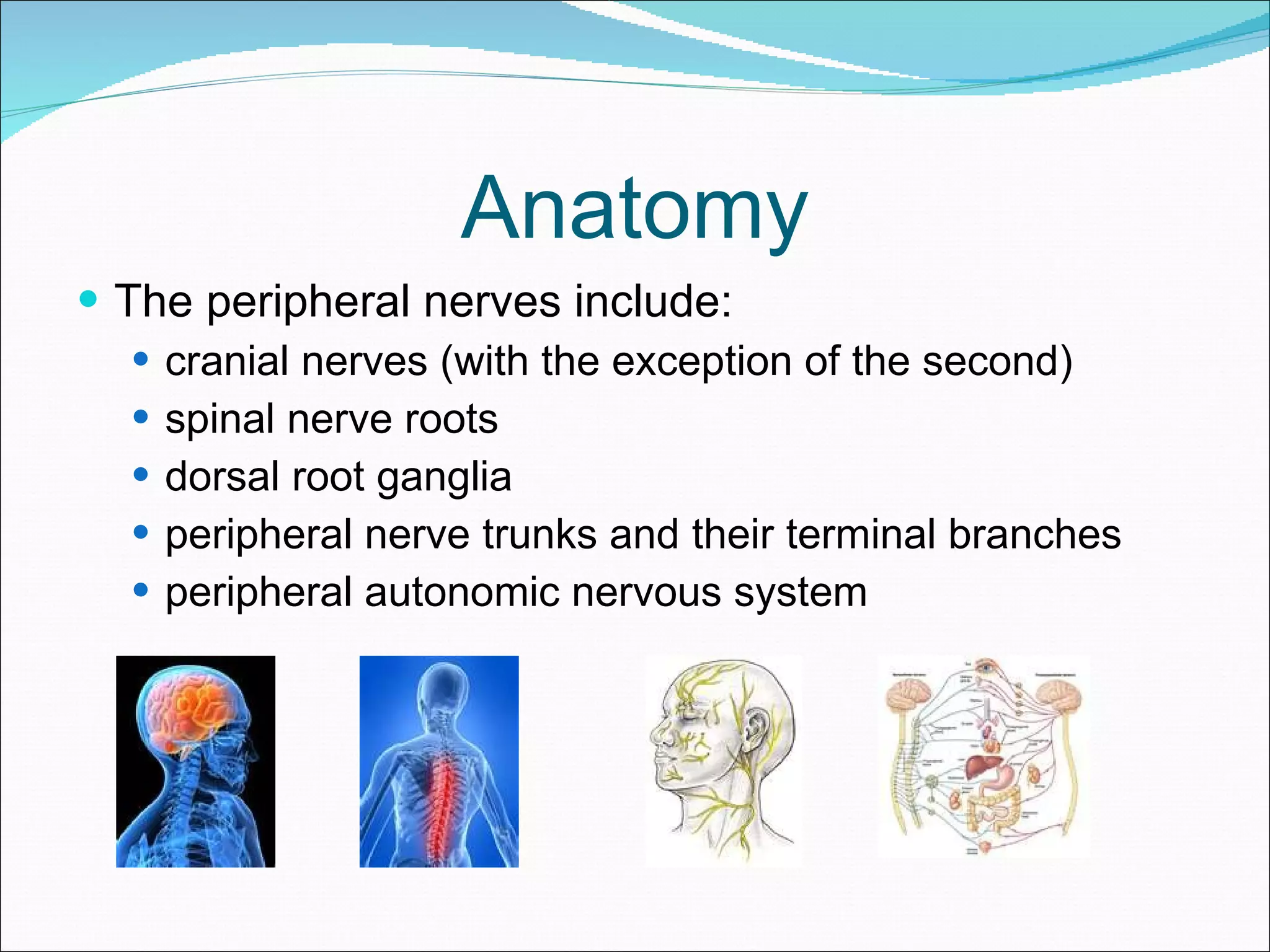 Peripheral Neuropathy an overview | PPT