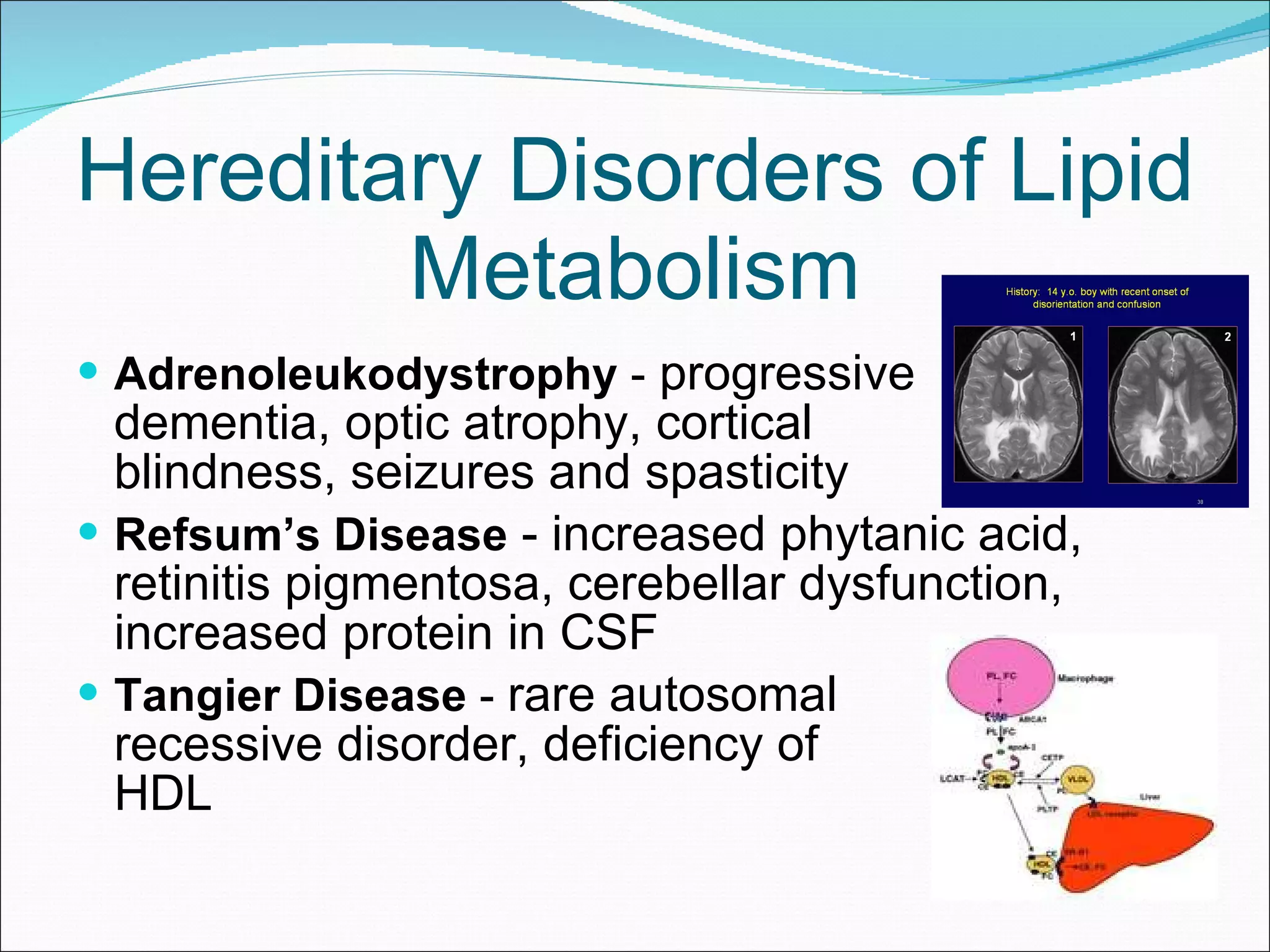 Peripheral Neuropathy An Overview Ppt 7376