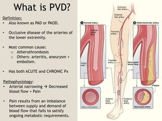 Peripheral-Vascular-Disease-Surgical-Presentation.ppt