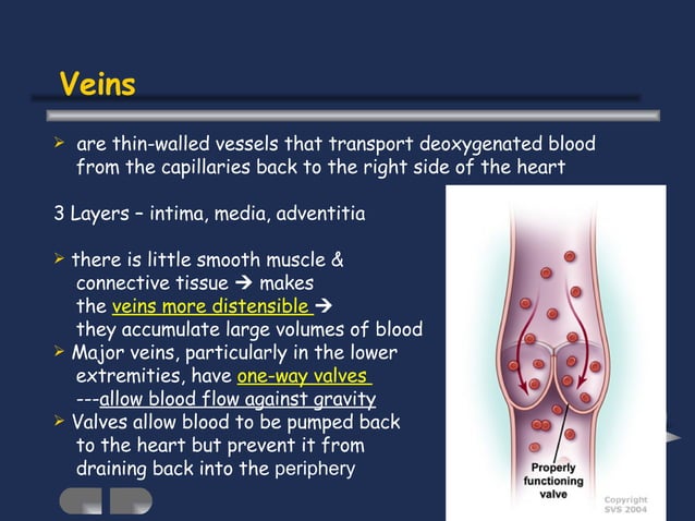 Peripheral Vascular Diseases | PPT