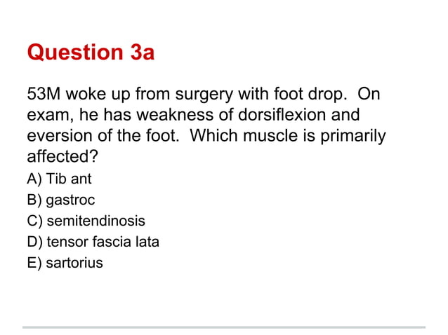 Peripheral+Anatomy.pptx