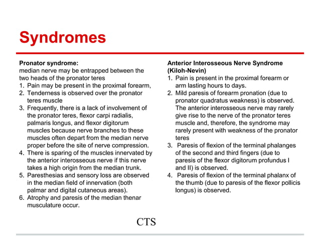 Peripheral+Anatomy.pptx