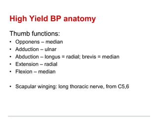 Peripheral+Anatomy.pptx