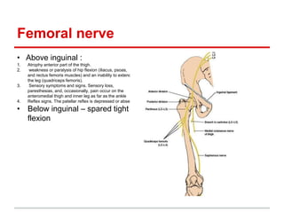 Peripheral+Anatomy.pptx