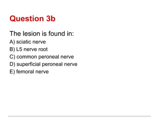 Peripheral+Anatomy.pptx