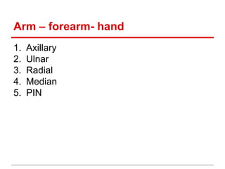Peripheral+Anatomy.pptx