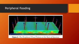 Peripheral and pattern flooding | PPTX